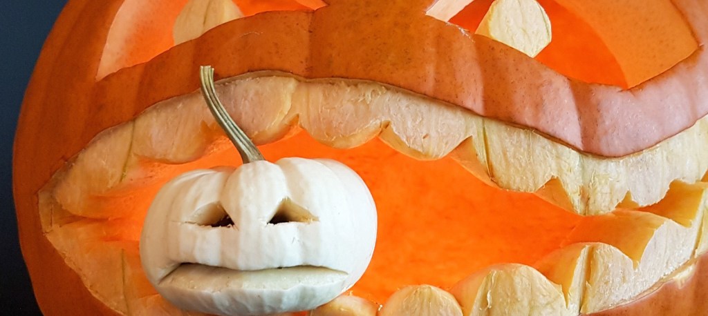 For the Love of Pumpkin! | Alexia Lewis – The Real Deal Nutrition