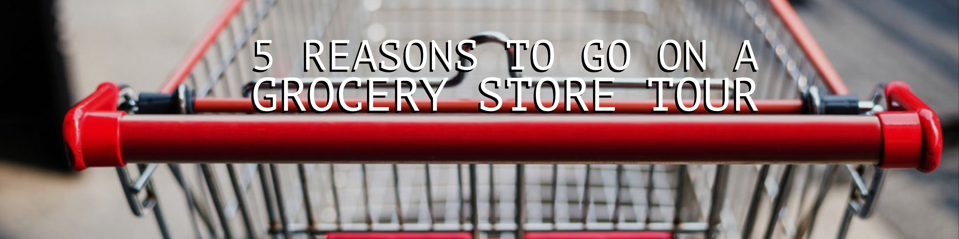 5 Reasons to Go On a Grocery Store Tour | Alexia Lewis – The Real Deal ...